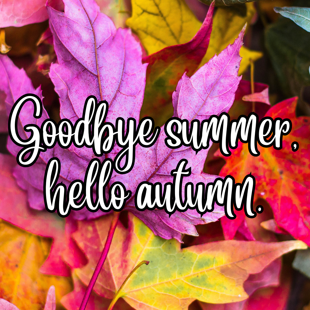 Goodbye Summer, Hello Autumn! – The Grumpy Cookies